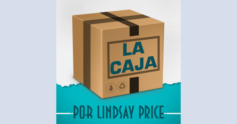Qué Es Una Cuenta De Caja En Contabilidad: Definición Y Usos