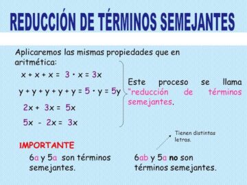 Cómo Los Signos Más Y Menos Separan Términos En Matemáticas
